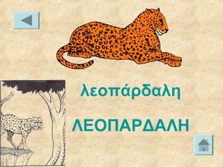 αλφάβητο ζώων | PPT