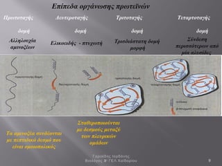 πρωτεϊνες αμινοξέα | PPT