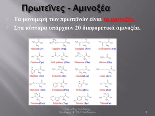 πρωτεϊνες αμινοξέα | PPT