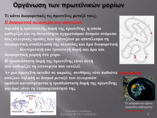 πρωτεϊνες αμινοξέα | PPT
