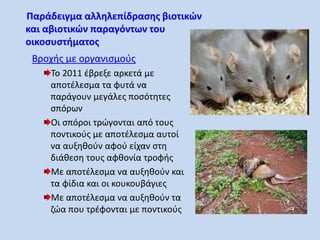 ισορροπία στα βιολογικά συστήματα | PPTX