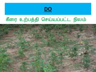 இயற்கை விவசாயம் | PPTX