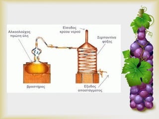 τσιπουρο παρουσιαση | PPT
