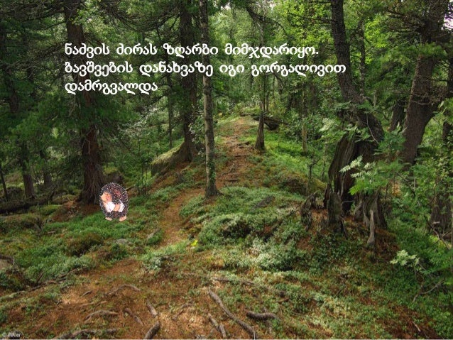 ტყეში