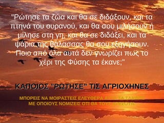 Ένα μάθημα από τις αγριοχήνες | PDF