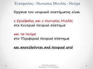 νευρικό σύστημα | PPSX