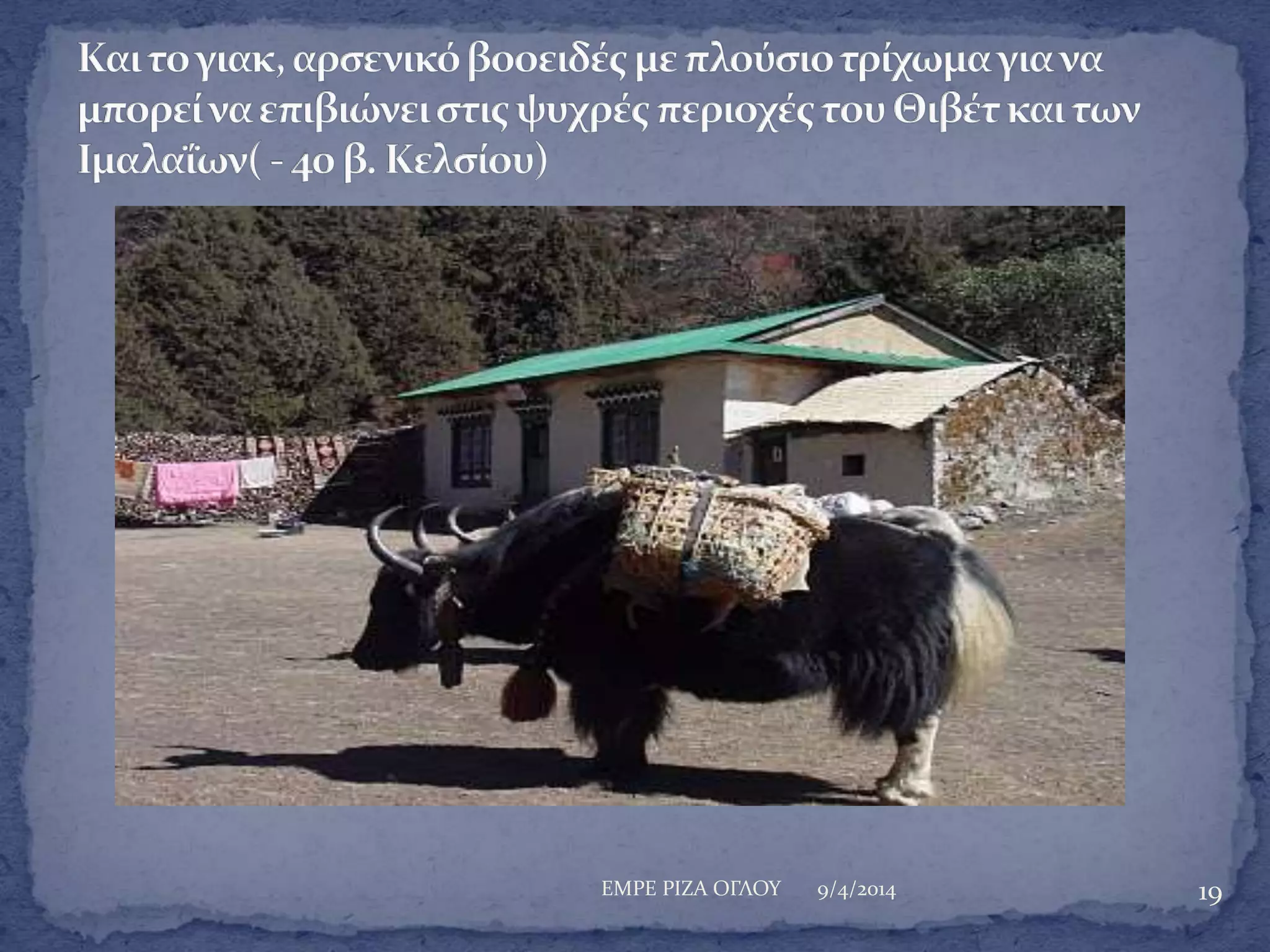 Η θεση και το φυσικο περιβαλλον της Ασιας | PPTX