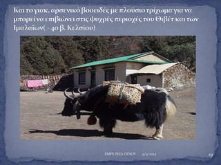 Η θεση και το φυσικο περιβαλλον της Ασιας | PPTX