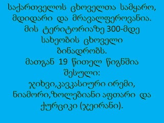 დავით შედანია | PPT