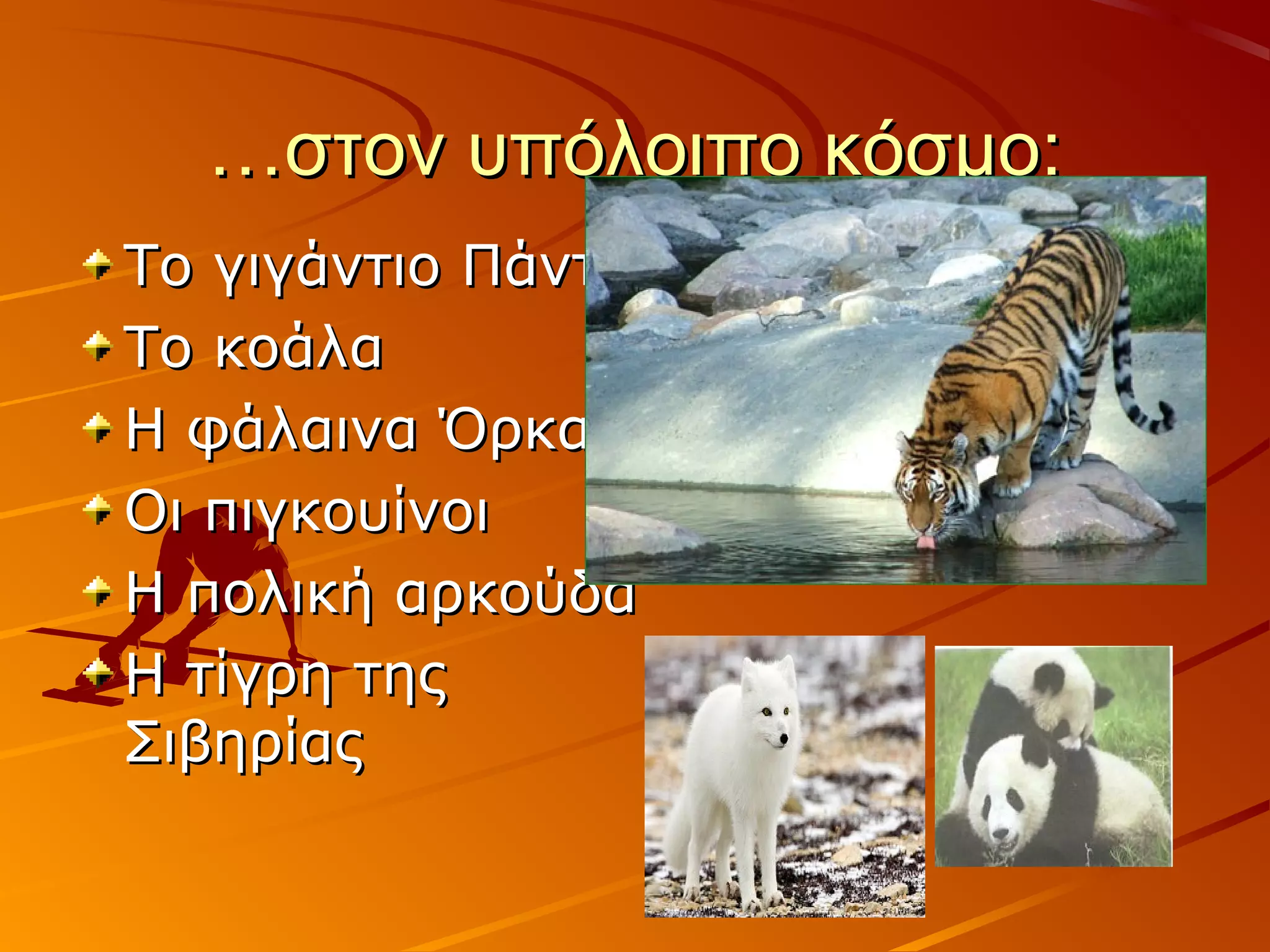 ζωα που κινδυνευουν να εξαφανιστουν | PPT