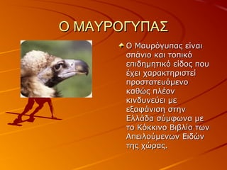 ζωα που κινδυνευουν να εξαφανιστουν | PPT