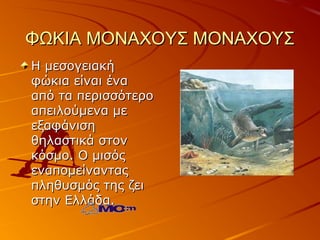 ζωα που κινδυνευουν να εξαφανιστουν | PPT
