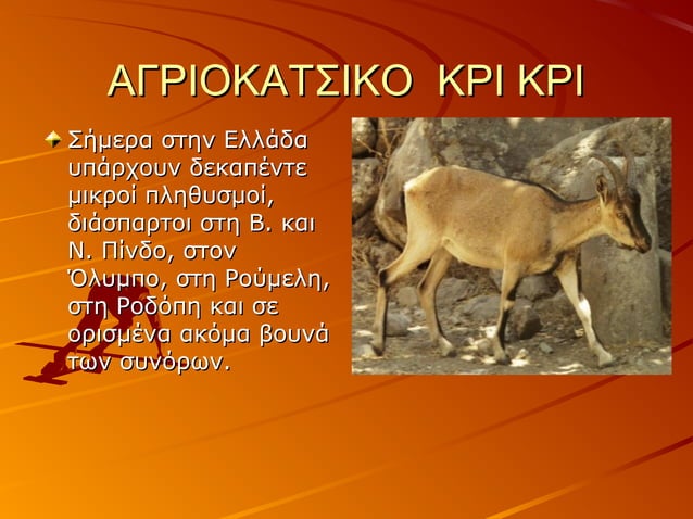 ζωα που κινδυνευουν να εξαφανιστουν | PPT