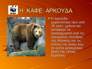 ζωα που κινδυνευουν να εξαφανιστουν | PPT