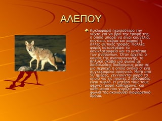 ζωα που κινδυνευουν να εξαφανιστουν | PPT