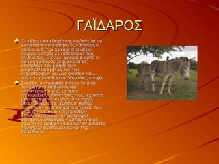 ζωα που κινδυνευουν να εξαφανιστουν | PPT