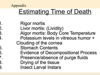 Rigor Mortis Stages