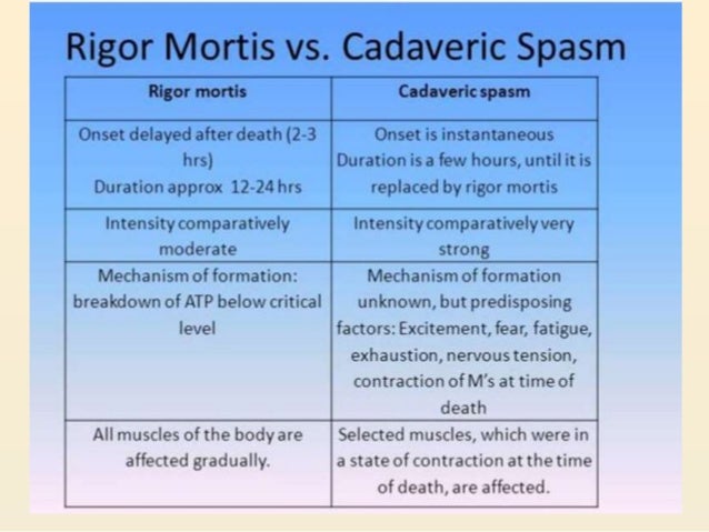 Algor Mortis Timeline