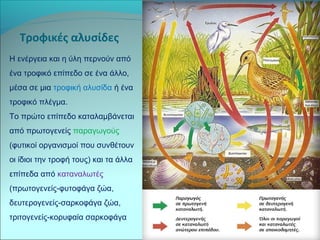 οι λίμνες μας | PPT