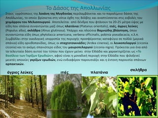 οι λίμνες μας | PPT
