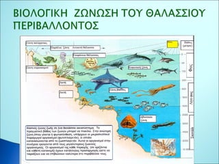 εκβολές θερμαικού | PPT
