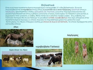 εκβολές θερμαικού | PPT