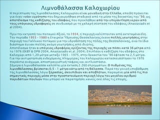 εκβολές θερμαικού | PPT