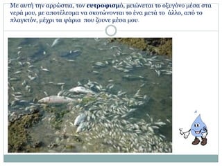 Το ταλαιπωρημένο νερό | PPT