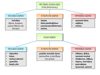 φυτικη διαπλαση | PPT