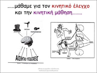 πλαστικότητα και αντιστάθμιση στη παιδιατρική φυσικοθεραπεία | PDF