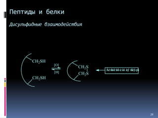 синтез и реакции аминокислот и белков | PPTX | Chemistry | Science