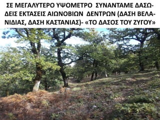 ΤΟ ΔΑΣΟΣ ΤΟΥ ΖΥΓΟΥ" Ε' Τάξη .6ο Δημοτικό Σχολείο Μεσολογγίου.(2014-2015 ...