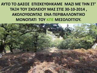 ΤΟ ΔΑΣΟΣ ΤΟΥ ΖΥΓΟΥ" Ε' Τάξη .6ο Δημοτικό Σχολείο Μεσολογγίου.(2014-2015 ...
