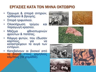 λαογραφια οκτωβριου | PPTX