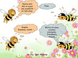 Mαθαίνω για τα έντομα | PPT