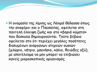 νεκρα θαλασσα | PPTX