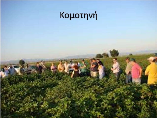 ελλαδα πεδινοι τοποι | PPTX