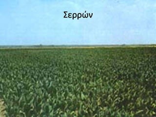 ελλαδα πεδινοι τοποι | PPTX