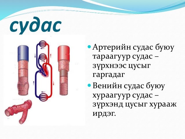 хүний цээ