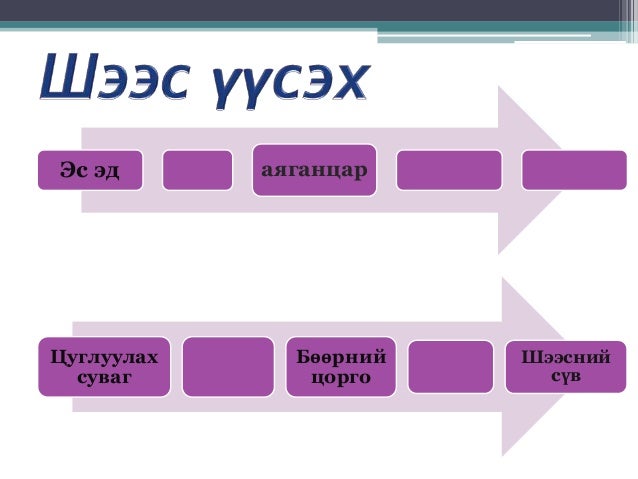 ялгаруулах эрхтэн тогтолцоо