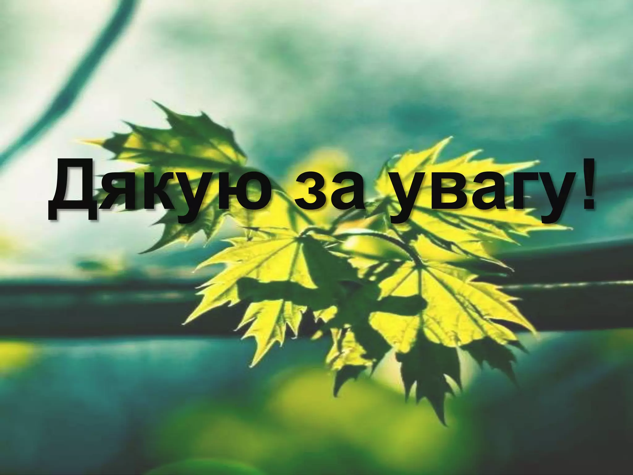 Що таке сімя | PPTX