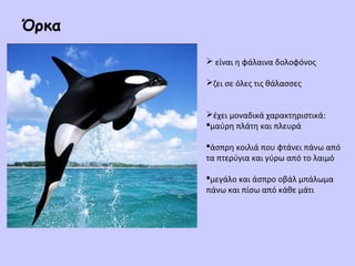 Tο τραγούδι της φάλαινας | PPT