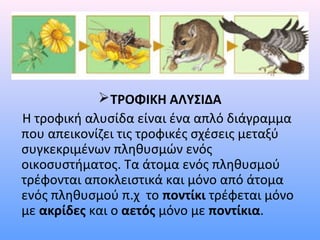 τροφικεσ σχεσεισ μεταξυ των πληθυσμων ενοσ οικοσυστηματοσ | PPT