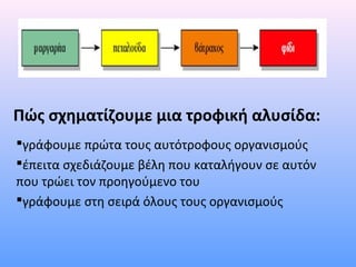 τροφικεσ σχεσεισ μεταξυ των πληθυσμων ενοσ οικοσυστηματοσ | PPT