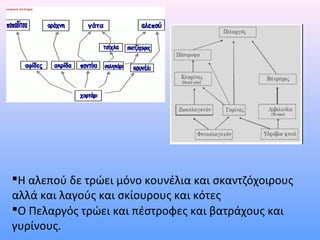 τροφικεσ σχεσεισ μεταξυ των πληθυσμων ενοσ οικοσυστηματοσ | PPT