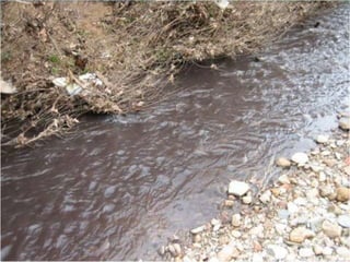 τα αιτια της ρυπανσης του νερου | PPTX