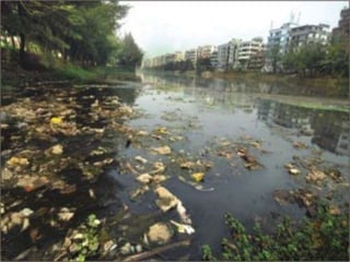 τα αιτια της ρυπανσης του νερου | PPTX