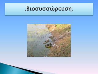 βιοσυσσωρευση | PPTX