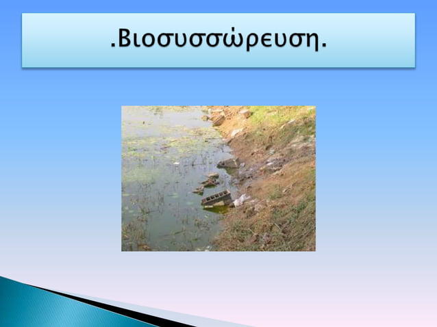 βιοσυσσωρευση | PPTX