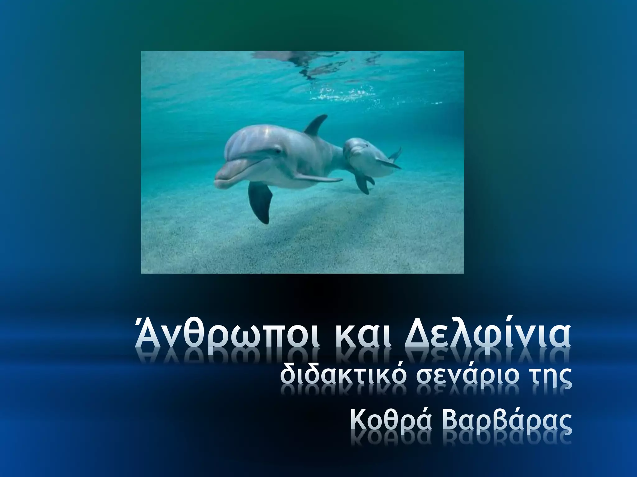 παρουσιαση σεναριου με δελφινια | PPTX